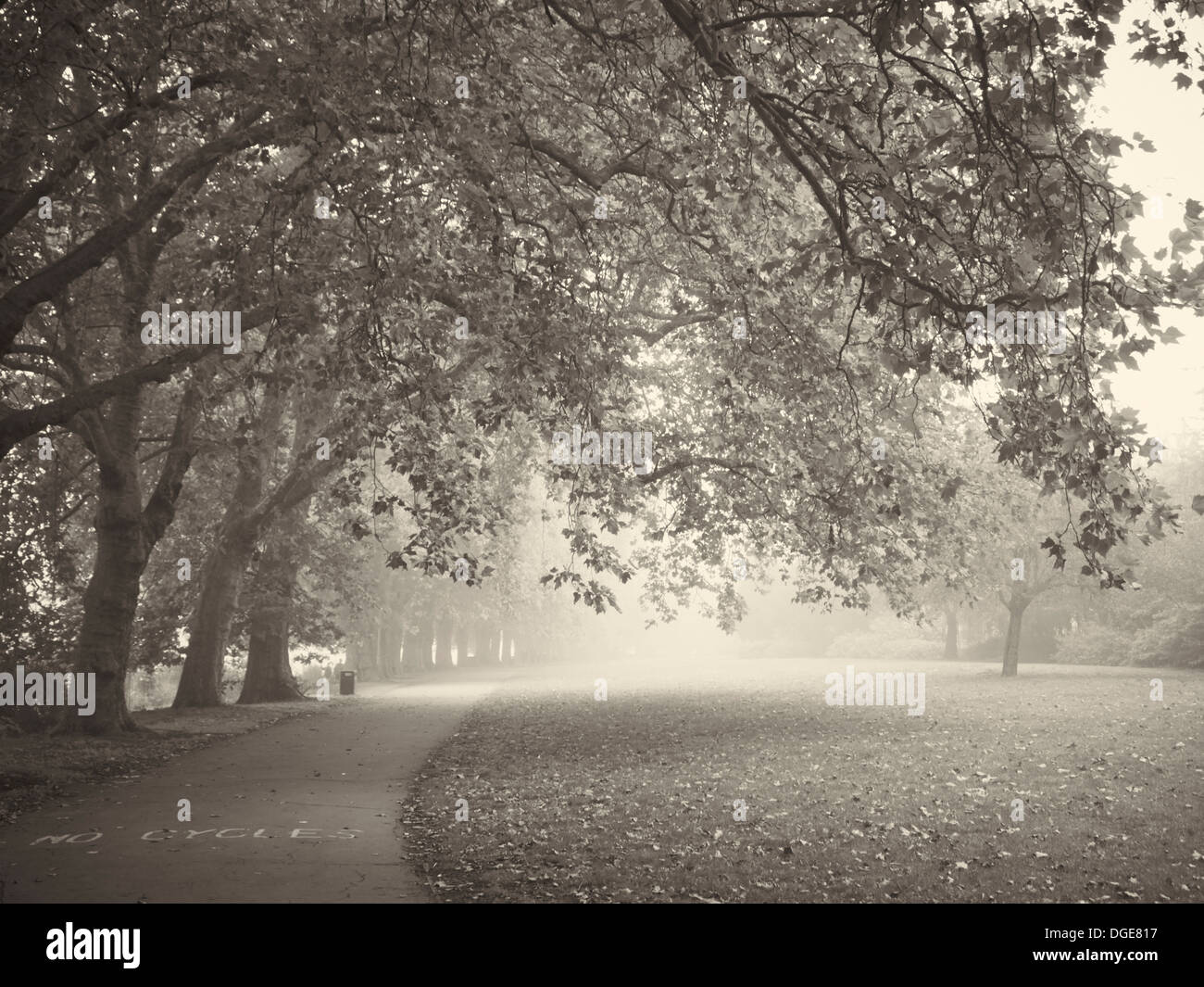 Uk urban park path hi-res stock photography and images - Alamy