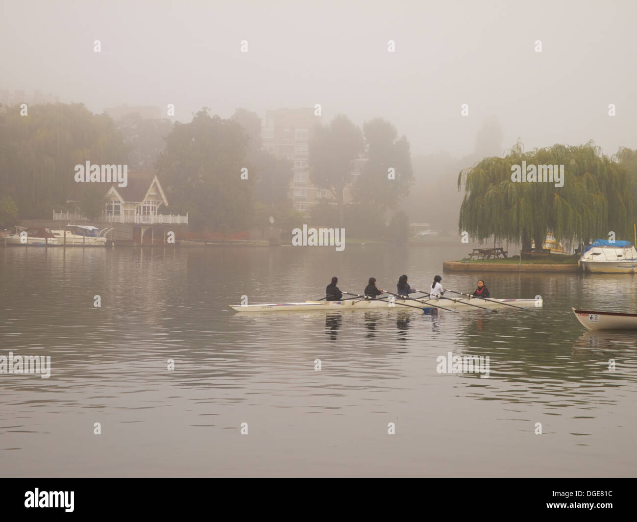 Rowing on the River Thames, Kingston, London, England Stock Photo - Alamy