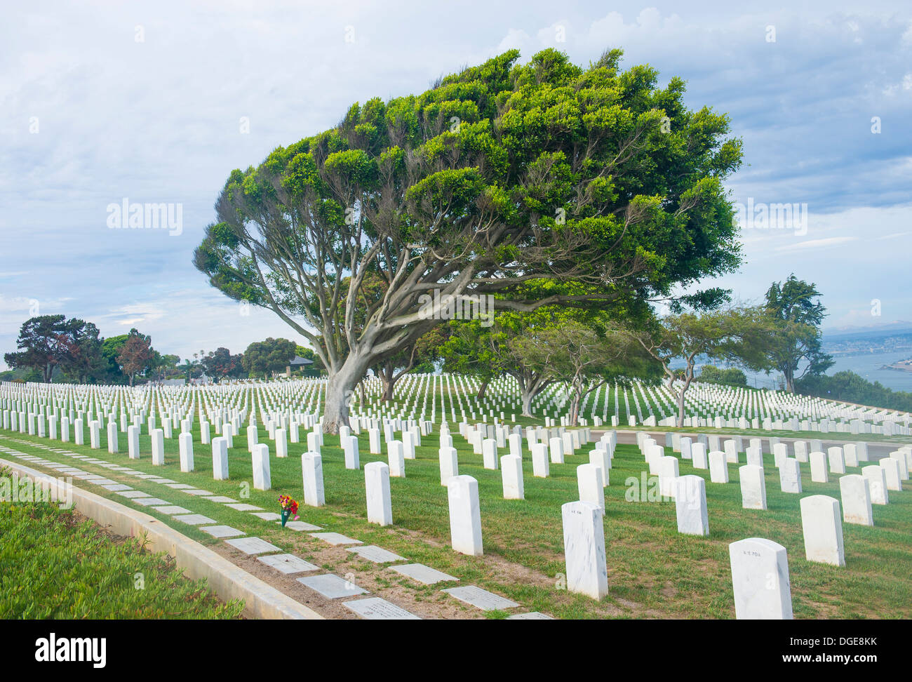 United States Military Cemetery in Point Loma San Diego, California ...
