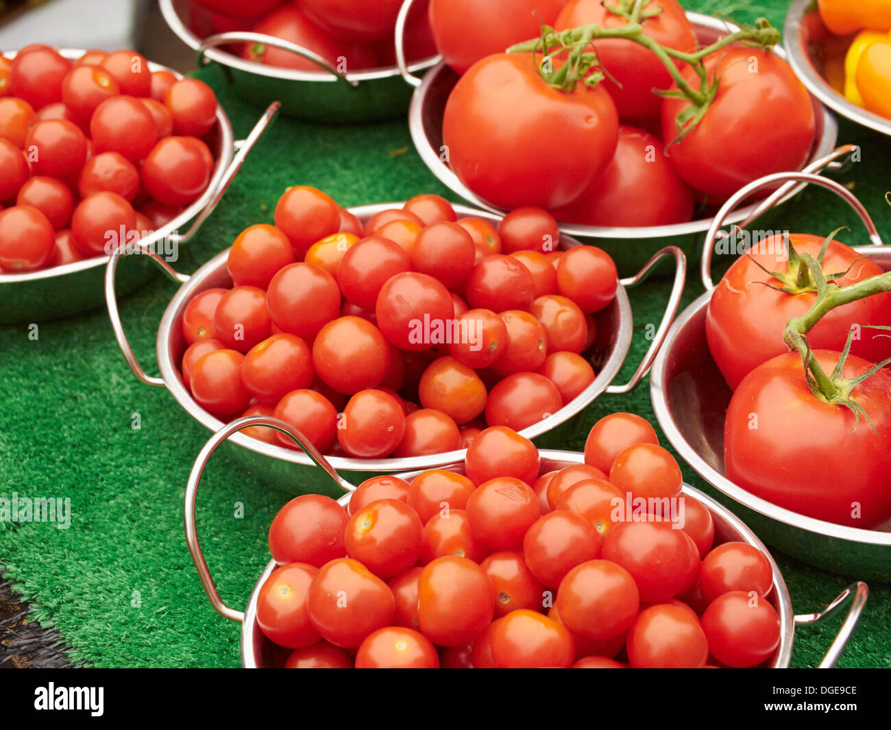 Tomatoes for sale at the Kingston, London farmer's market, England ...