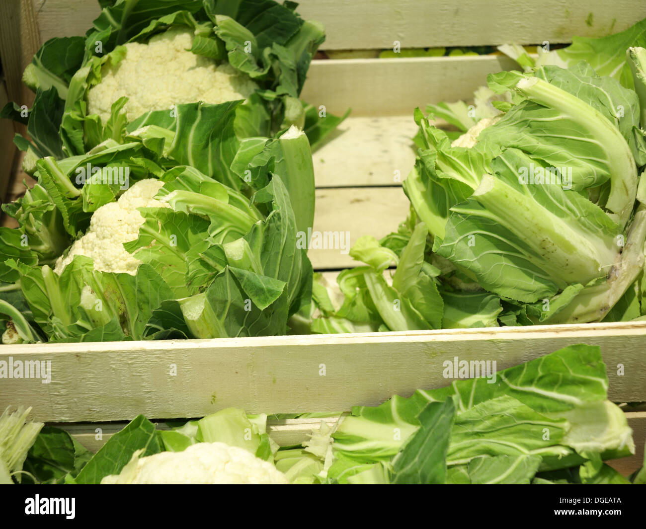 Fresh cauliflowers on the market stand cabbage vegetable Stock Photo ...