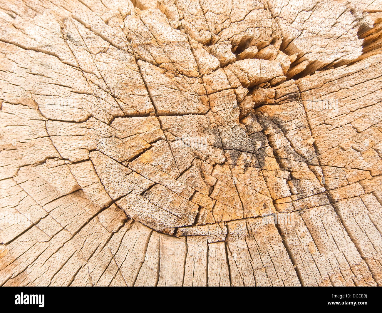 Wood background. Wooden board Stock Photo - Alamy