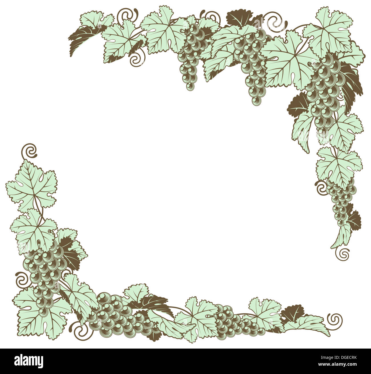 A grapevine border frame design element in a retro woodblock or woodcut ...