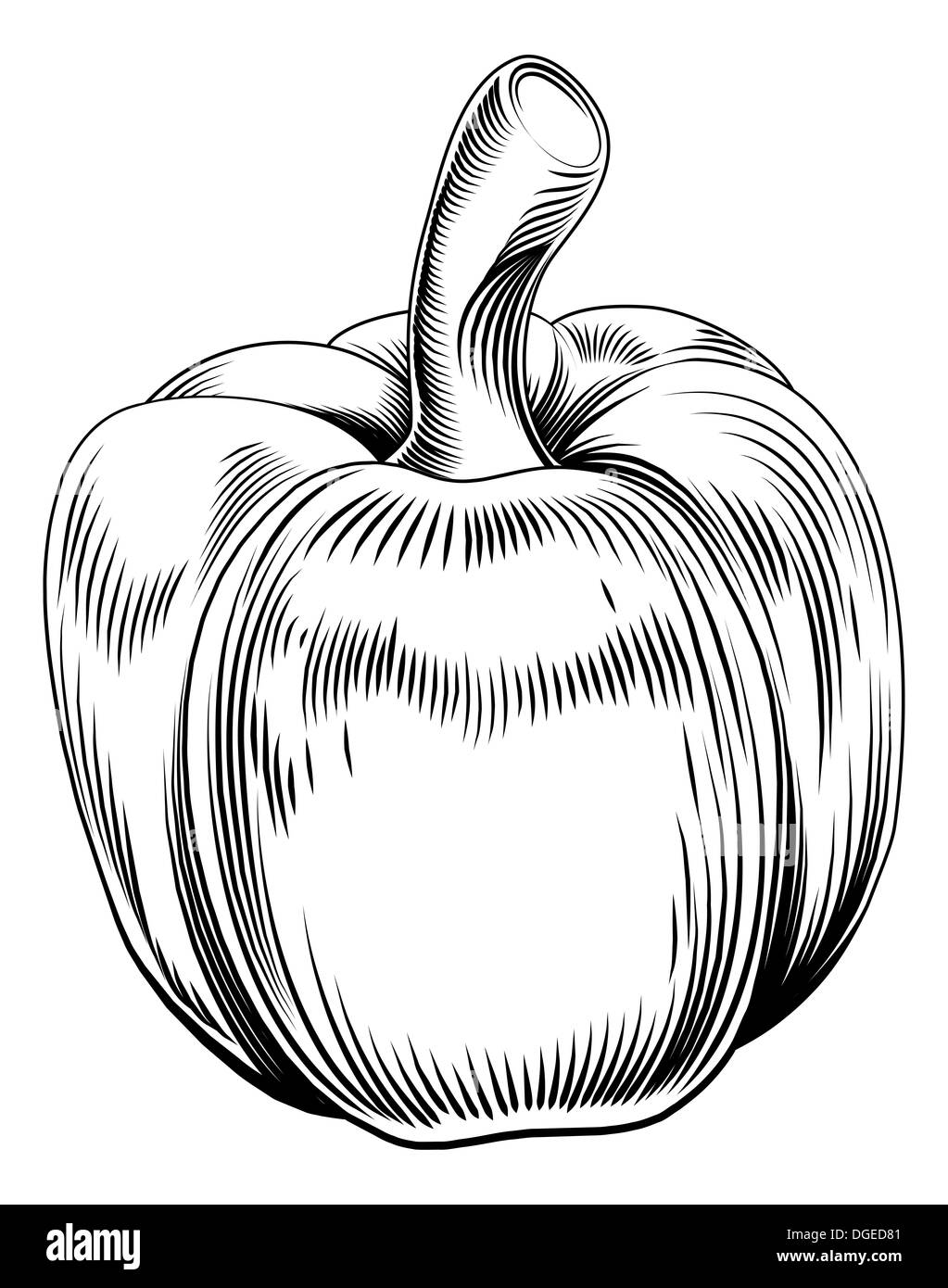 A vintage retro woodcut print or etching style sweet pepper ...