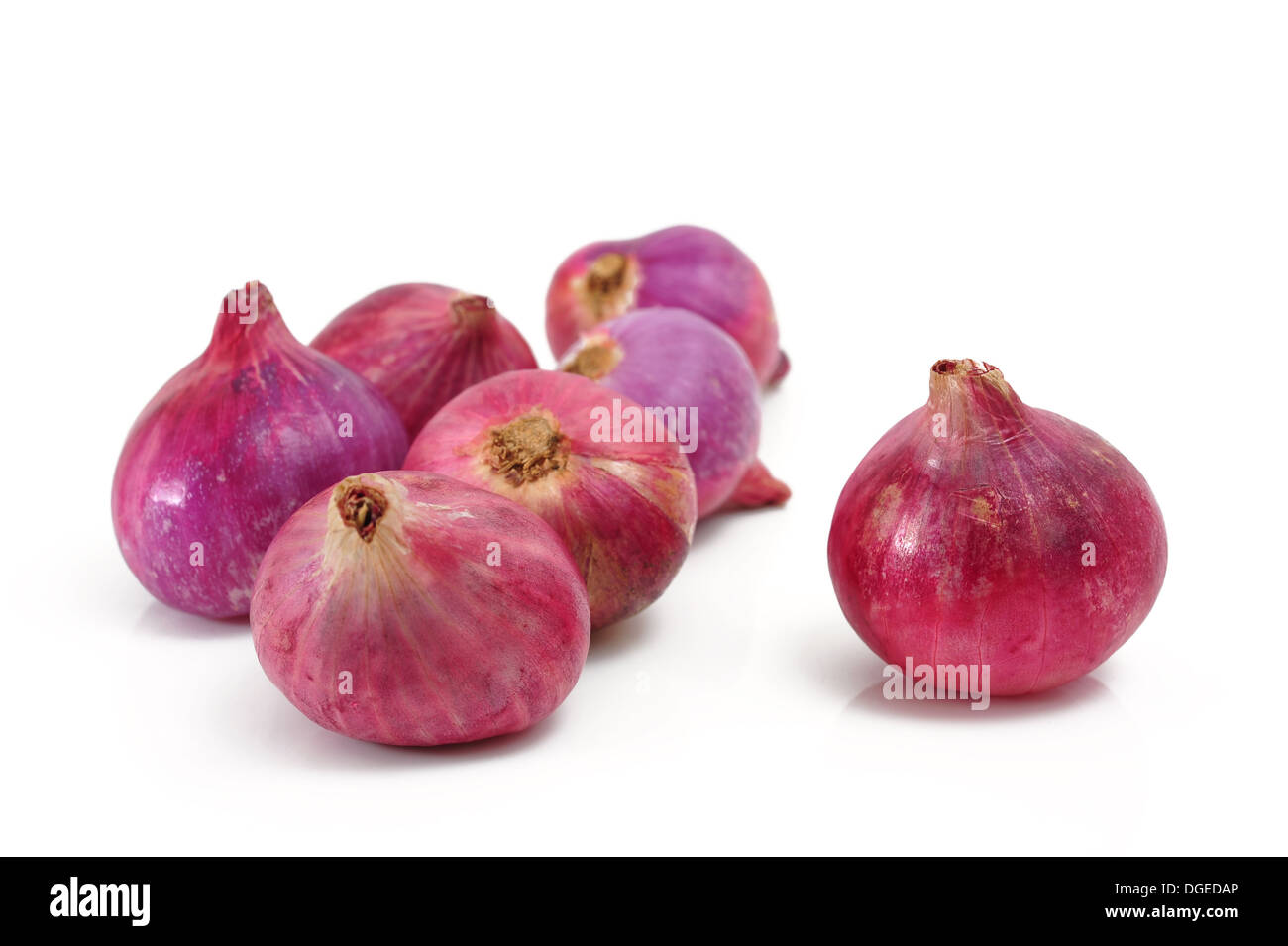 Red red onions Cut Out Stock Images & Pictures - Alamy