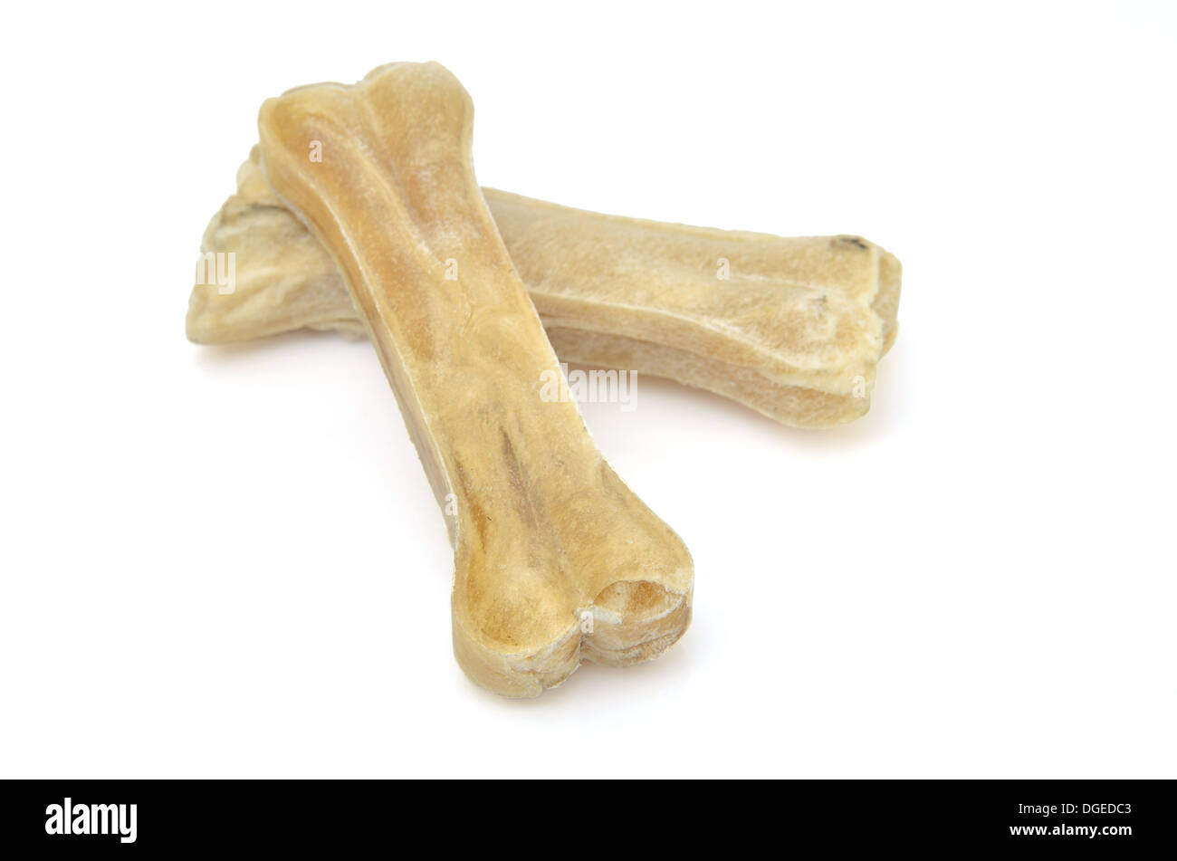 Real Dog Bone