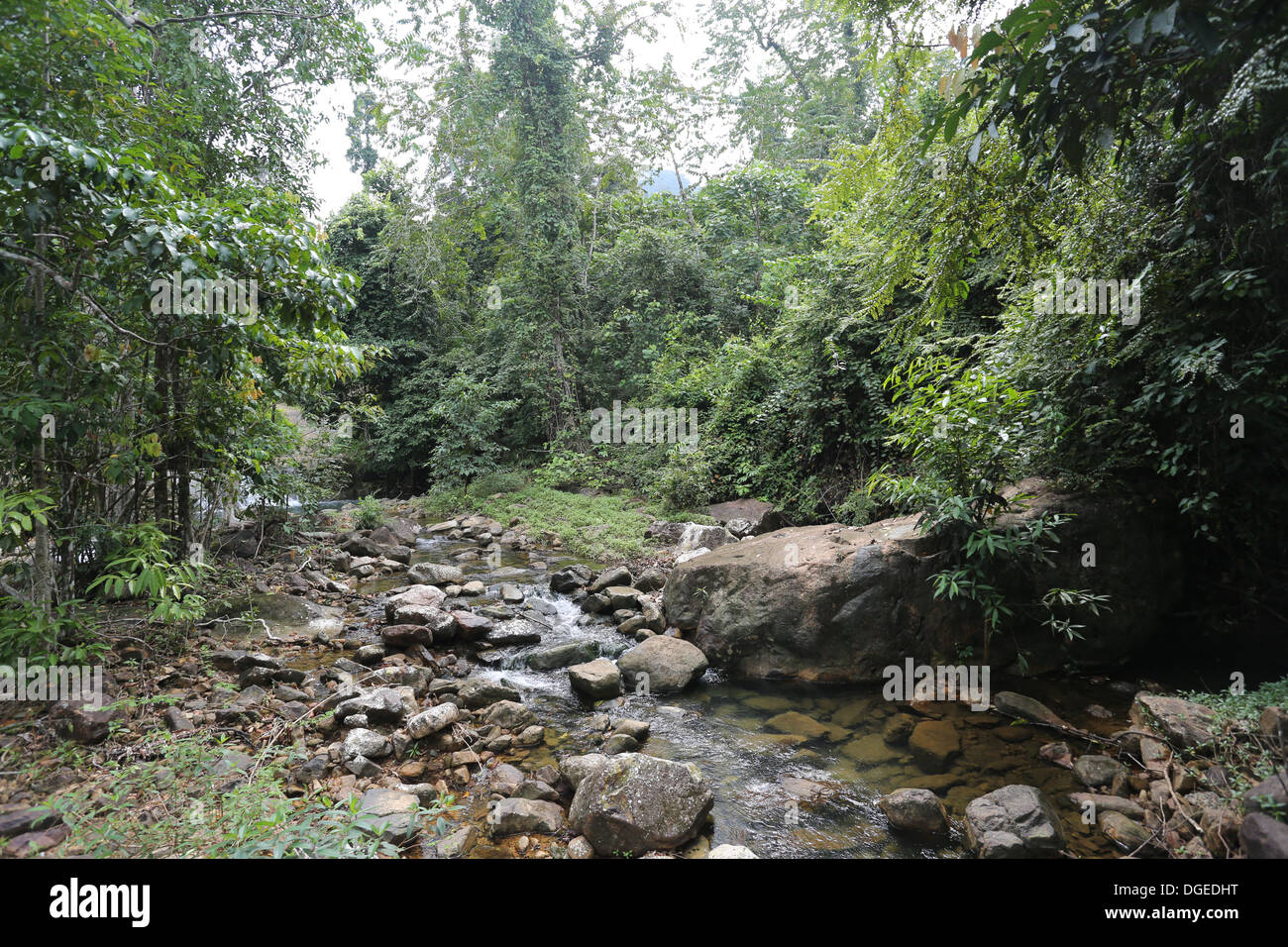 Koh Chang Elephant Sanctuary,Thailand Stock Photo - Alamy