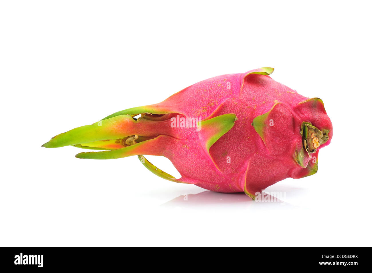 Dragon fruit plant Cut Out Stock Images & Pictures - Alamy