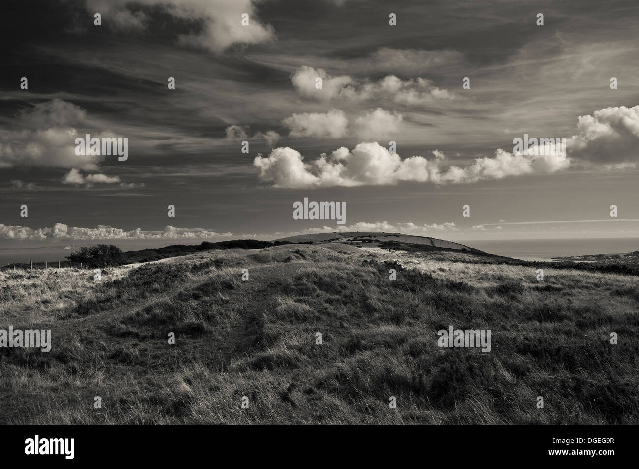 Nine Barrows Down Bronze Age and Neolithic Barrow Cemetery in the ...
