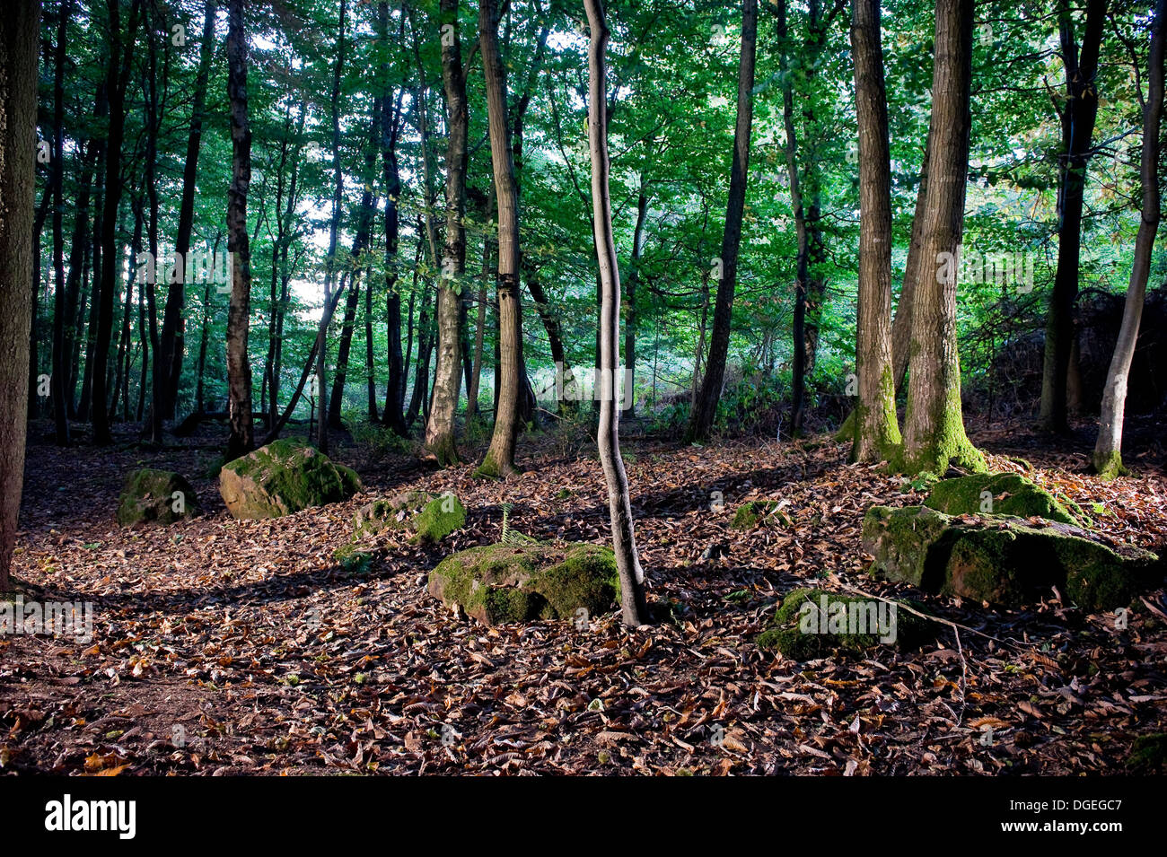 Ruined bronze age stone circle hi-res stock photography and images - Alamy