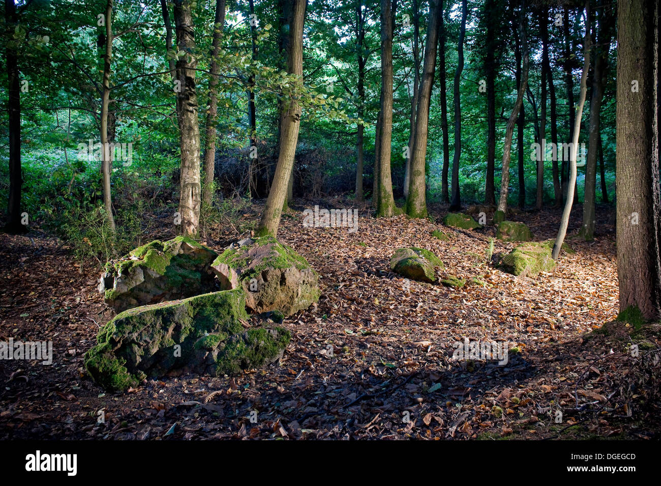 Rempstone (ruined) Bronze Age Stone Circle in Rempstone Woods in the ...