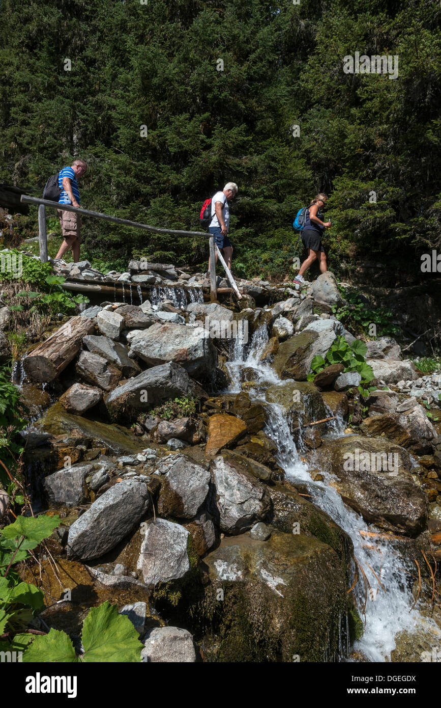 Bridge waterfall switzerland hi-res stock photography and images - Alamy