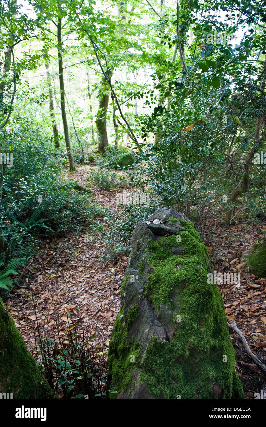Rempstone stone circle hi-res stock photography and images - Alamy