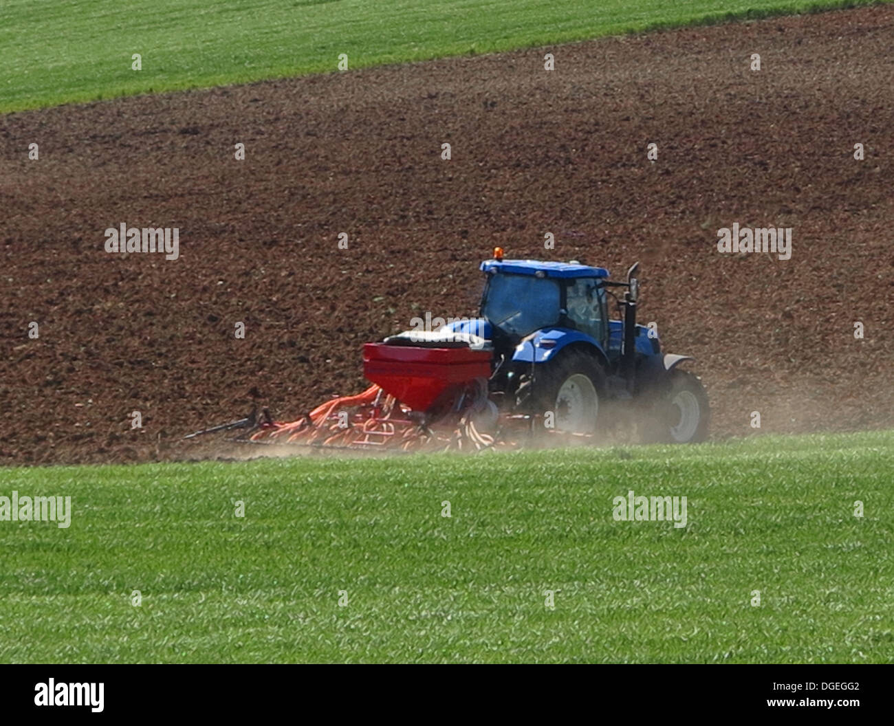Tractor in the field, plowing a plot in summer Stock Photo - Alamy