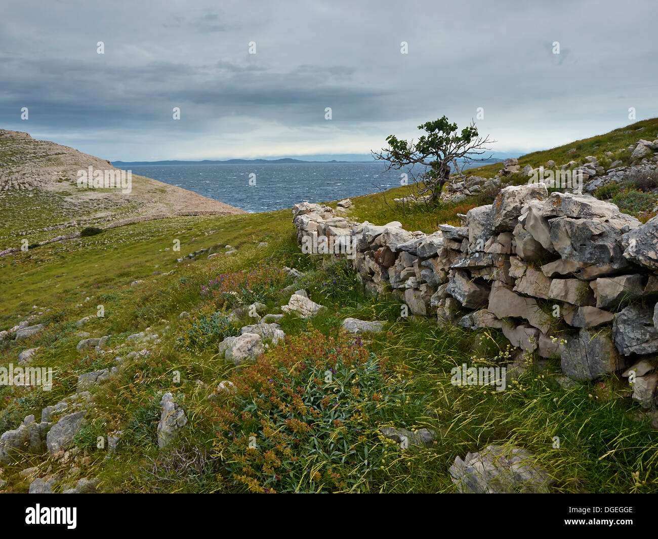 Windy morning hi-res stock photography and images - Alamy