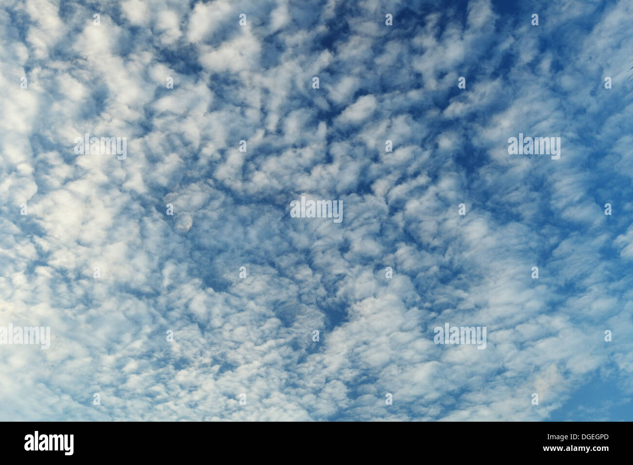 Altocumulus clouds - natural skyscape beauty contrast background Stock ...