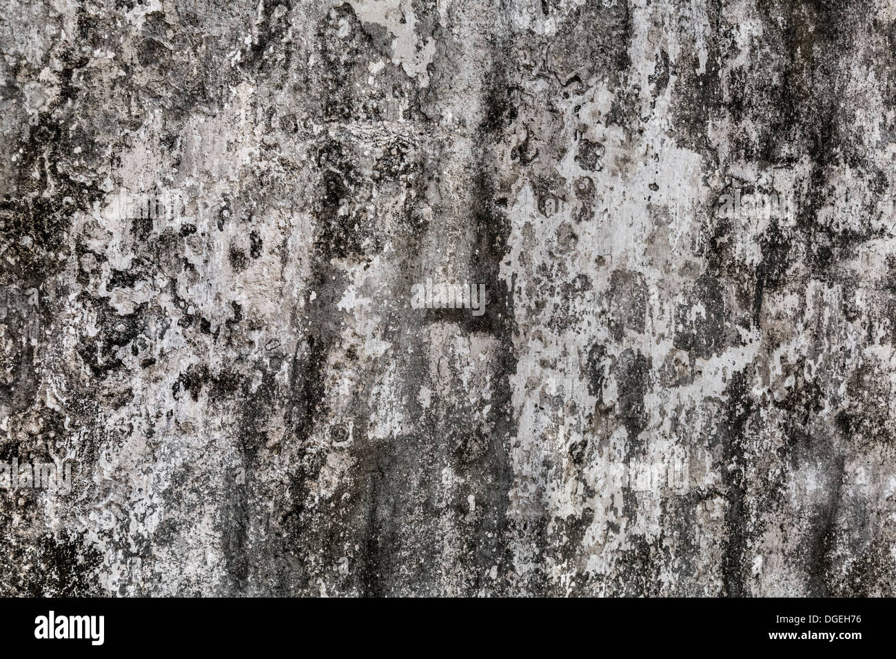 Backdrop plaster hi-res stock photography and images - Alamy