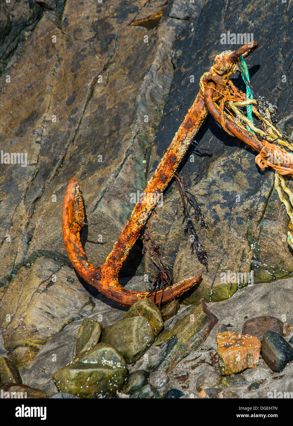 Old rusty anchor abandoned hi-res stock photography and images - Alamy