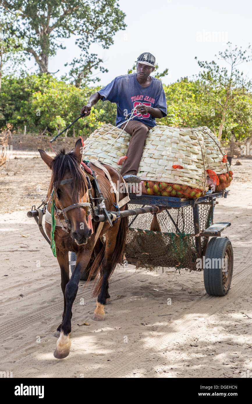 Carrying mangoes hi-res stock photography and images - Alamy
