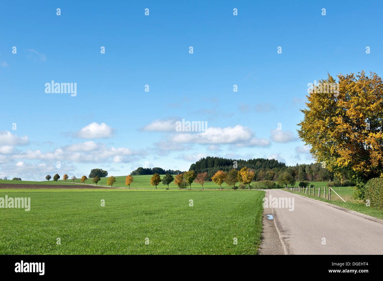 Germany, Bavaria, Surrounding of Lindau, Landscape Stock Photo - Alamy