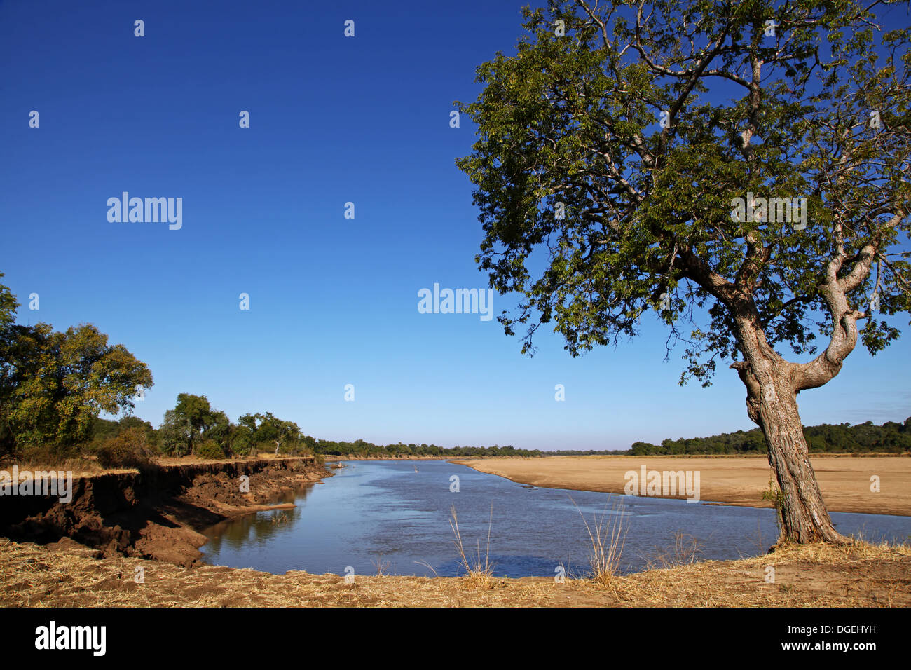South Luangwa National Park, landscape at the Luangwa River, Zambia ...