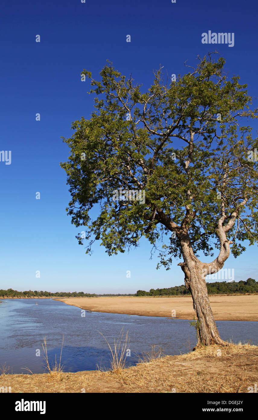 Zambian landscape hi-res stock photography and images - Alamy