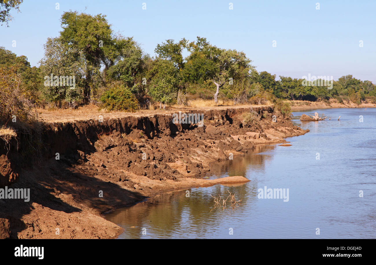 South Luangwa National Park, landscape at the Luangwa River, Zambia ...