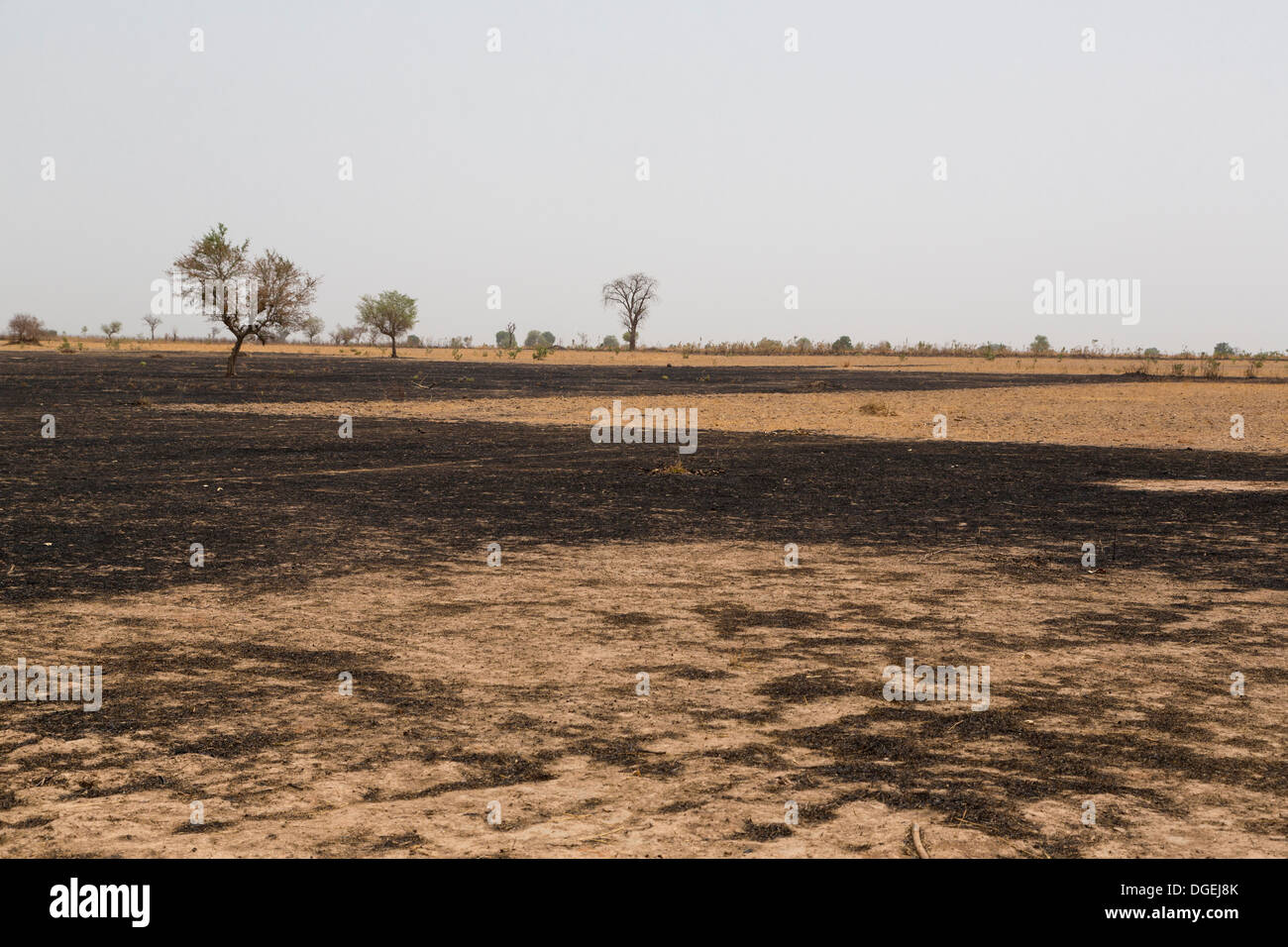 Semi arid terrain hi-res stock photography and images - Alamy