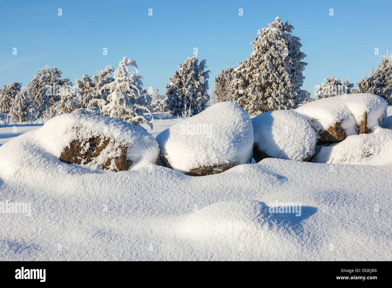 Stone wall with snow in a wintry landscape Stock Photo - Alamy
