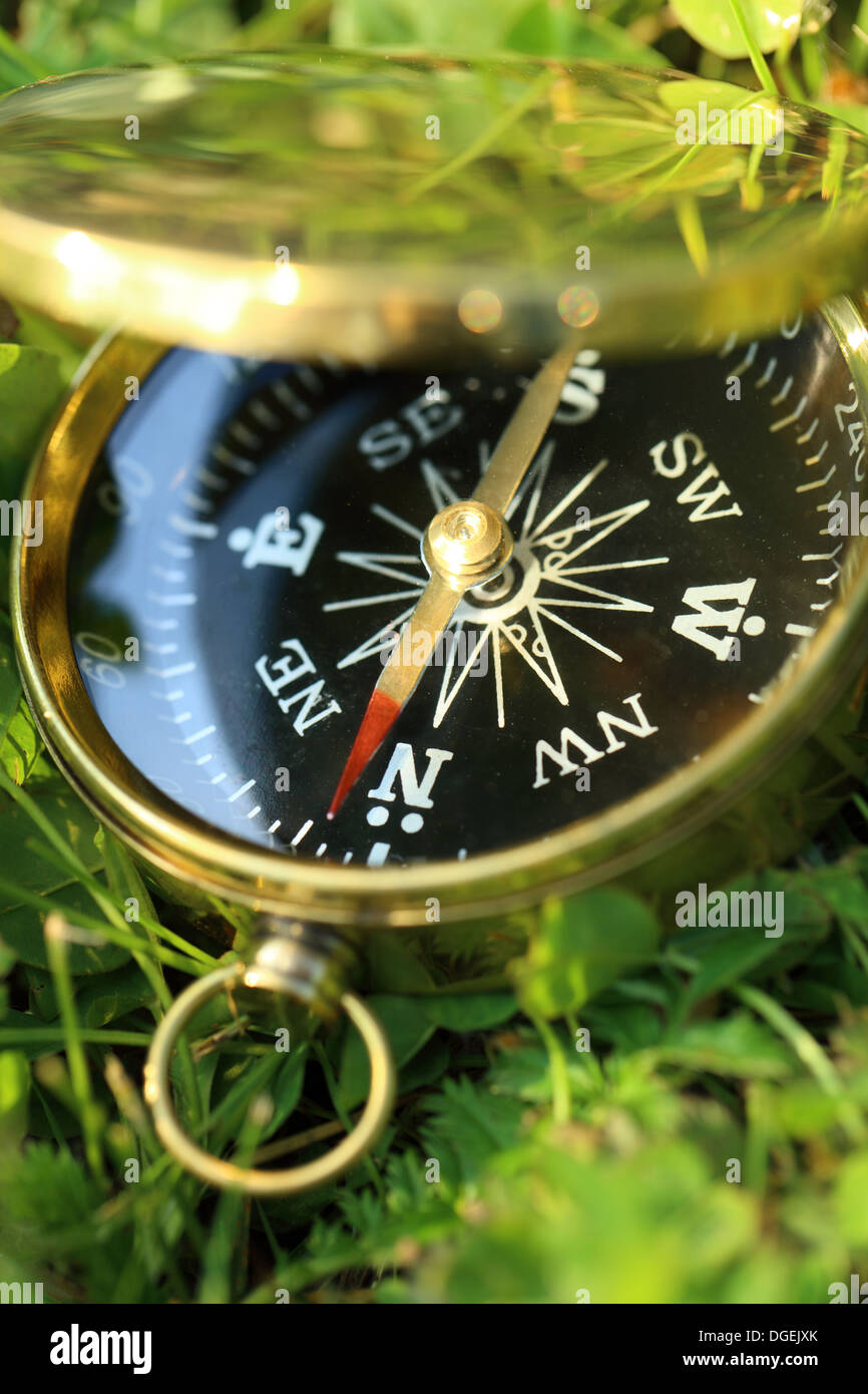 Golden compass on green grass Stock Photo - Alamy