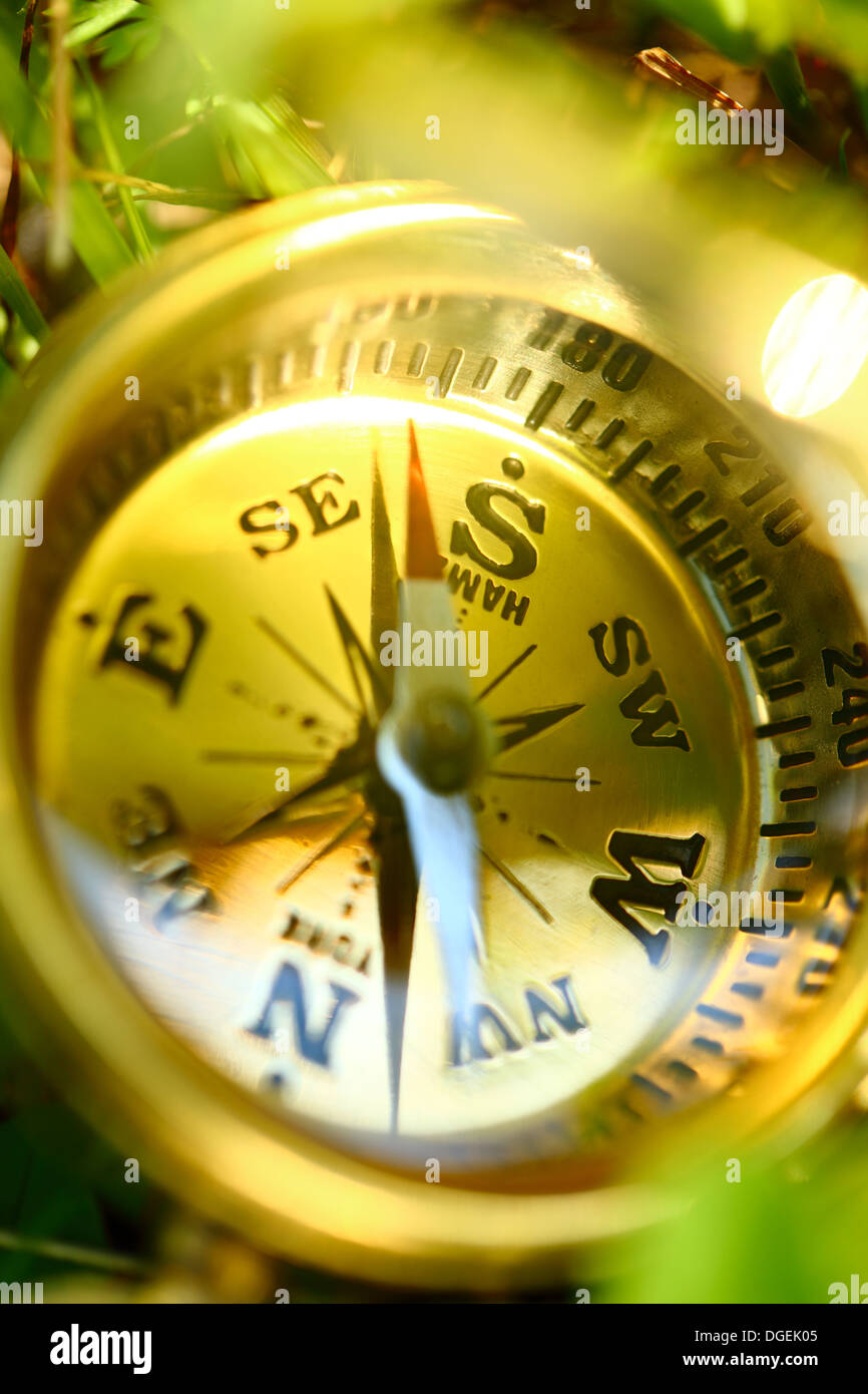 Golden compass on green grass Stock Photo - Alamy