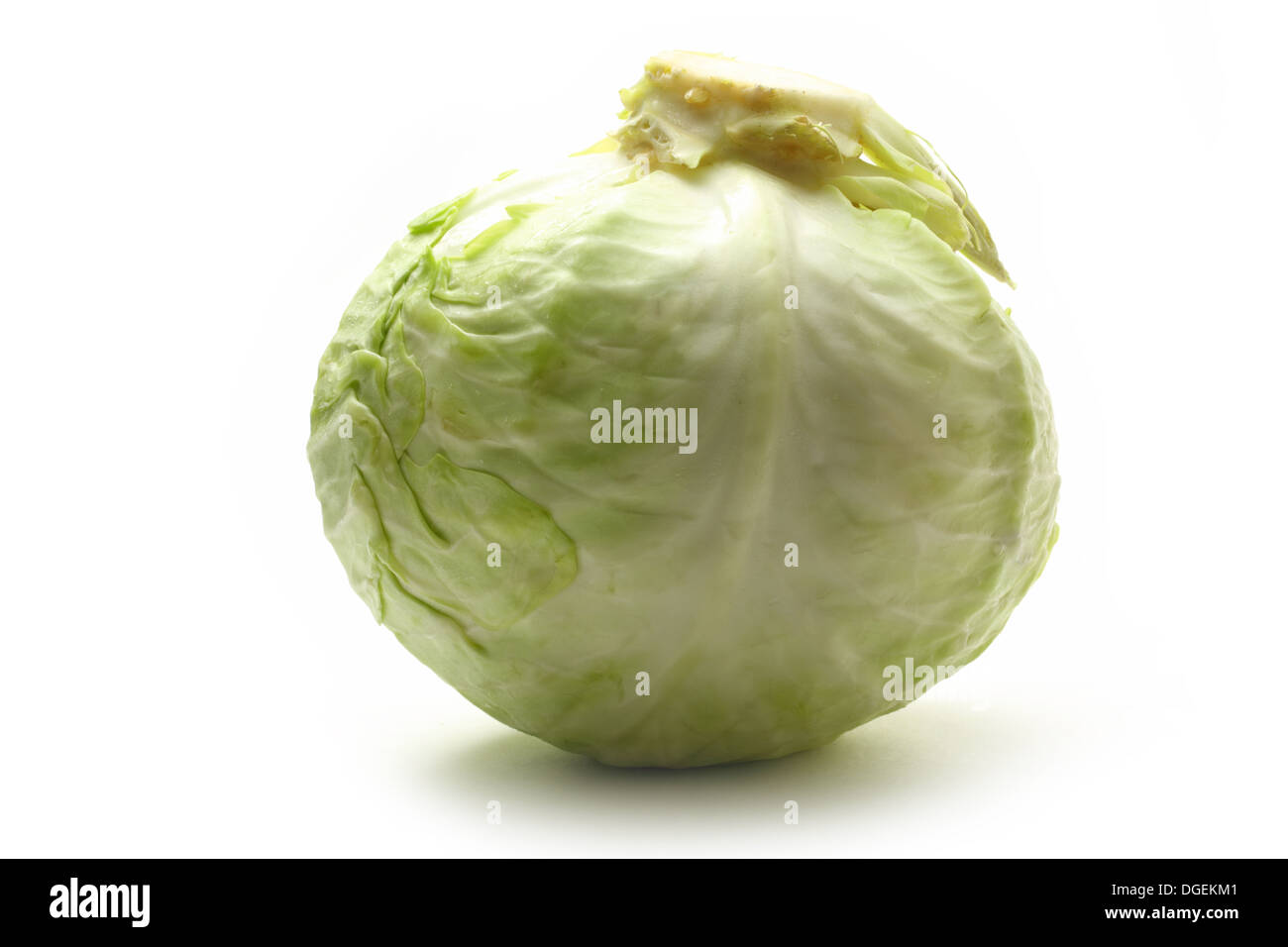 Single green head of cabbage Stock Photo - Alamy