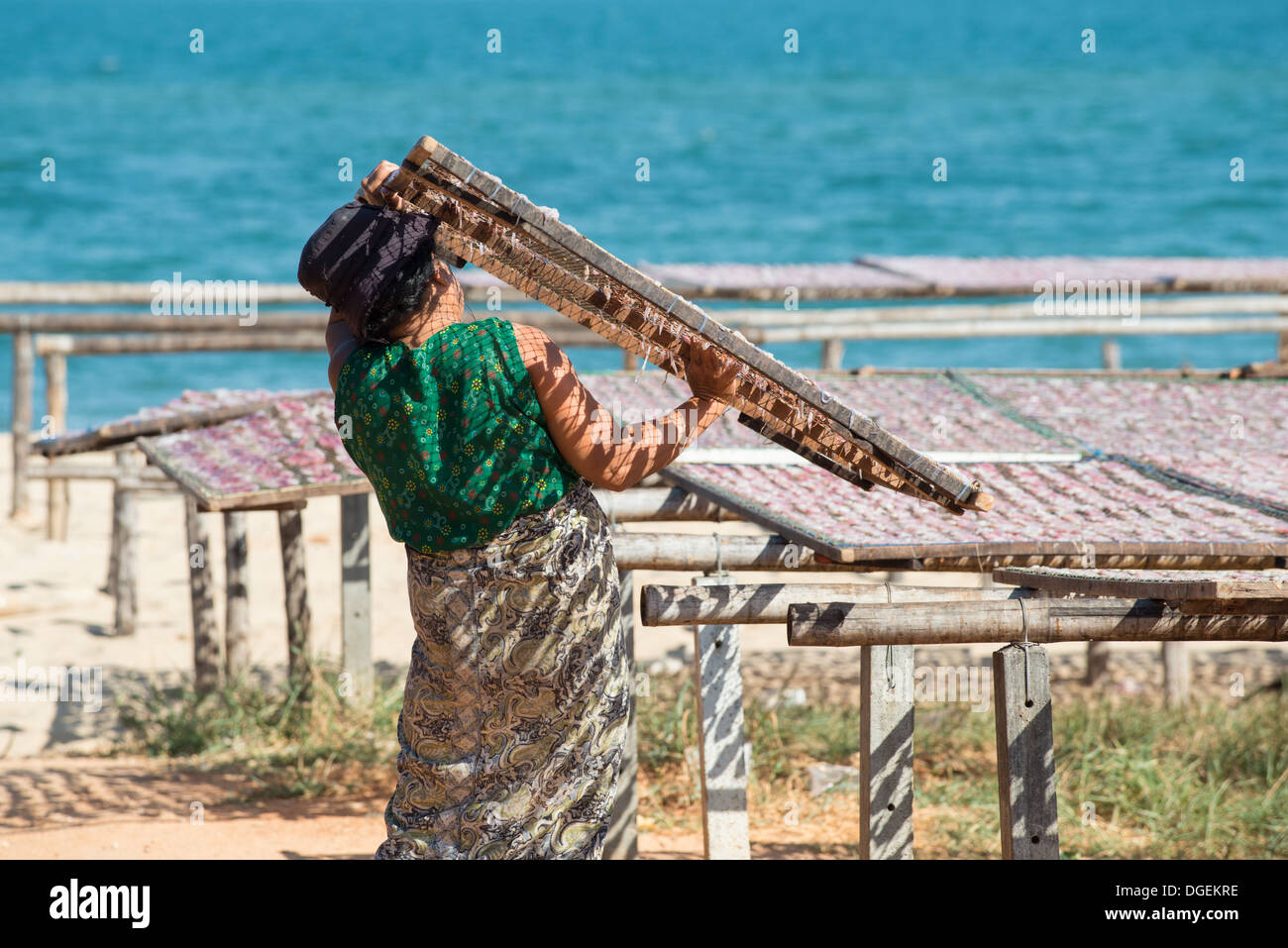 Squid drying in the sun hi-res stock photography and images - Alamy
