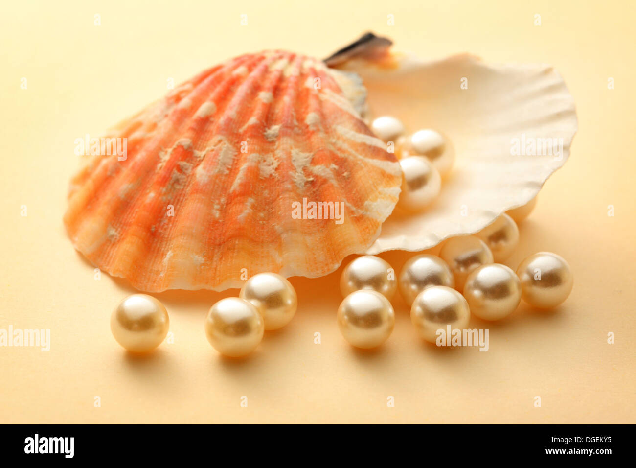 Mollusk pearl hi-res stock photography and images - Alamy