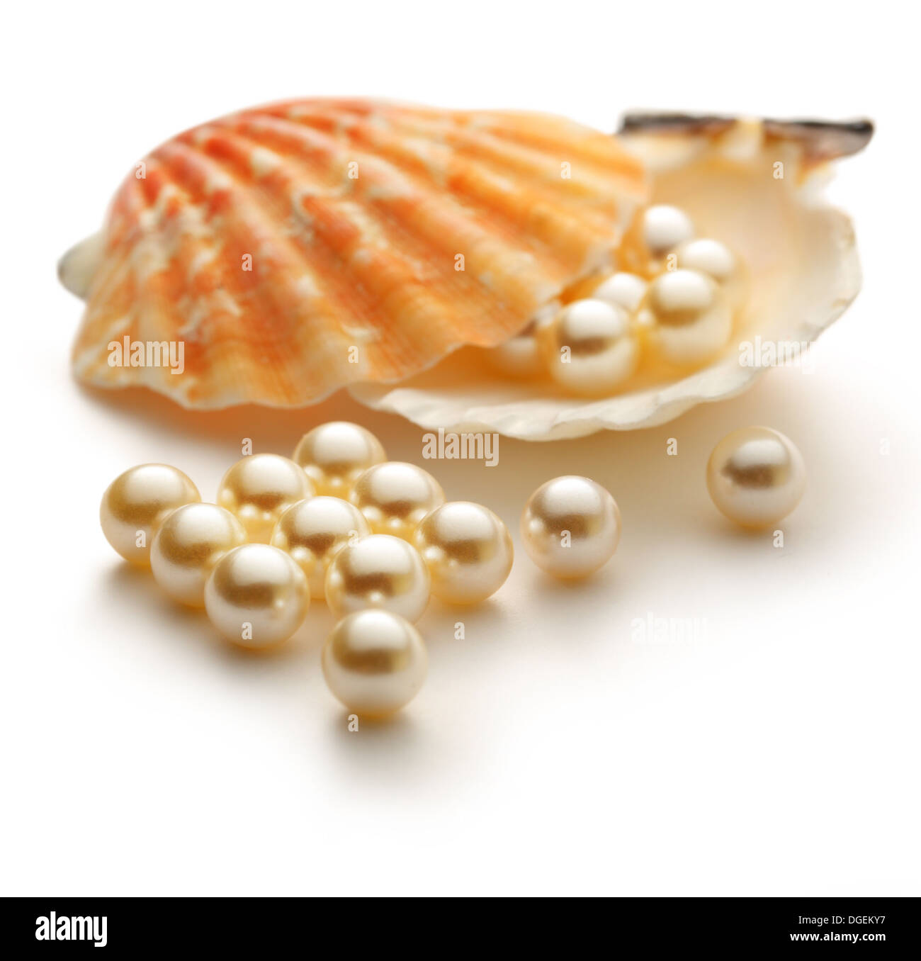 Mollusk pearl hi-res stock photography and images - Alamy