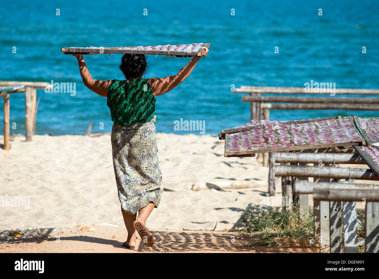 Thai woman carries a rack with squid on her head out into the sunshine ...