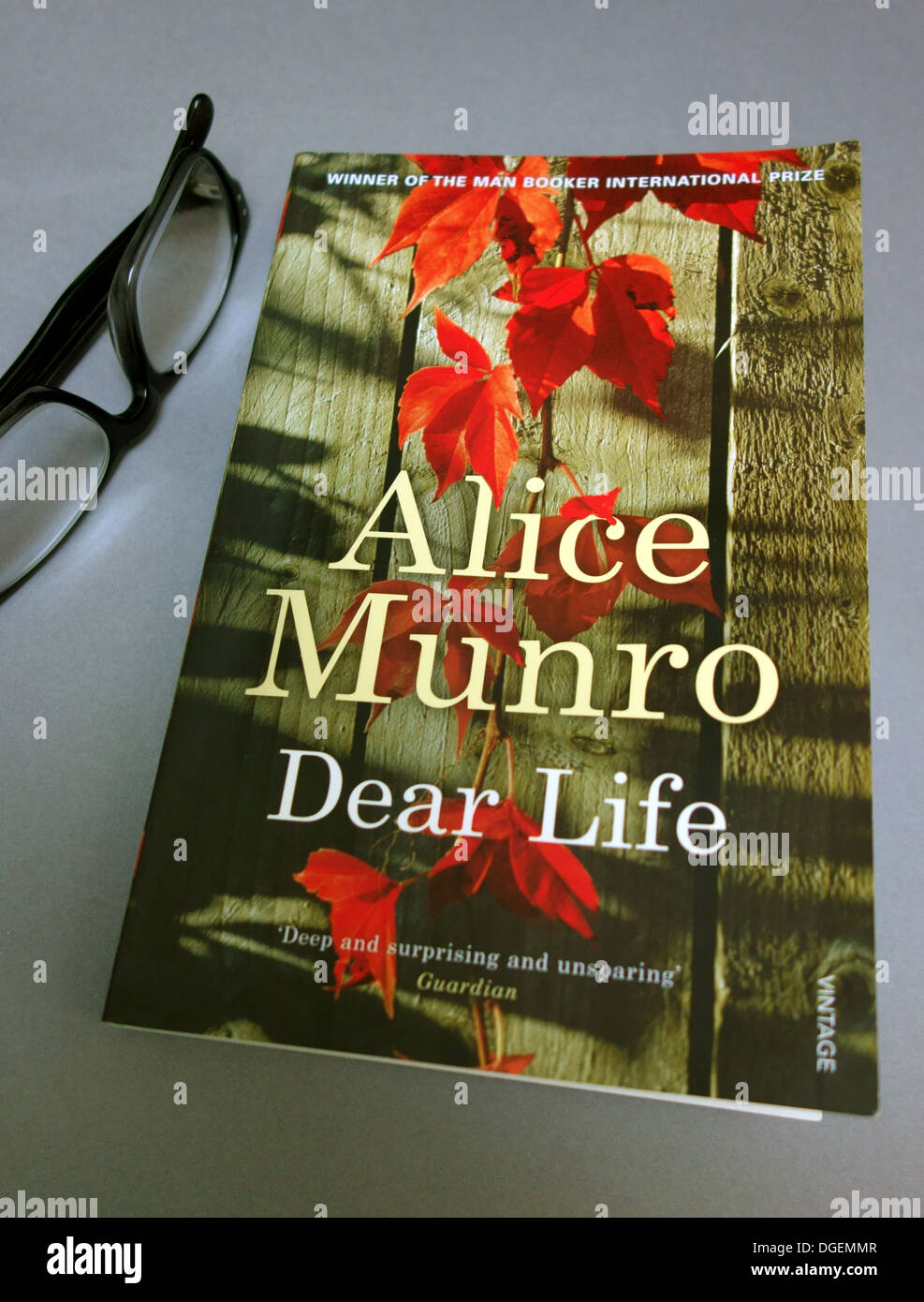 Alice munro writer hi-res stock photography and images - Alamy