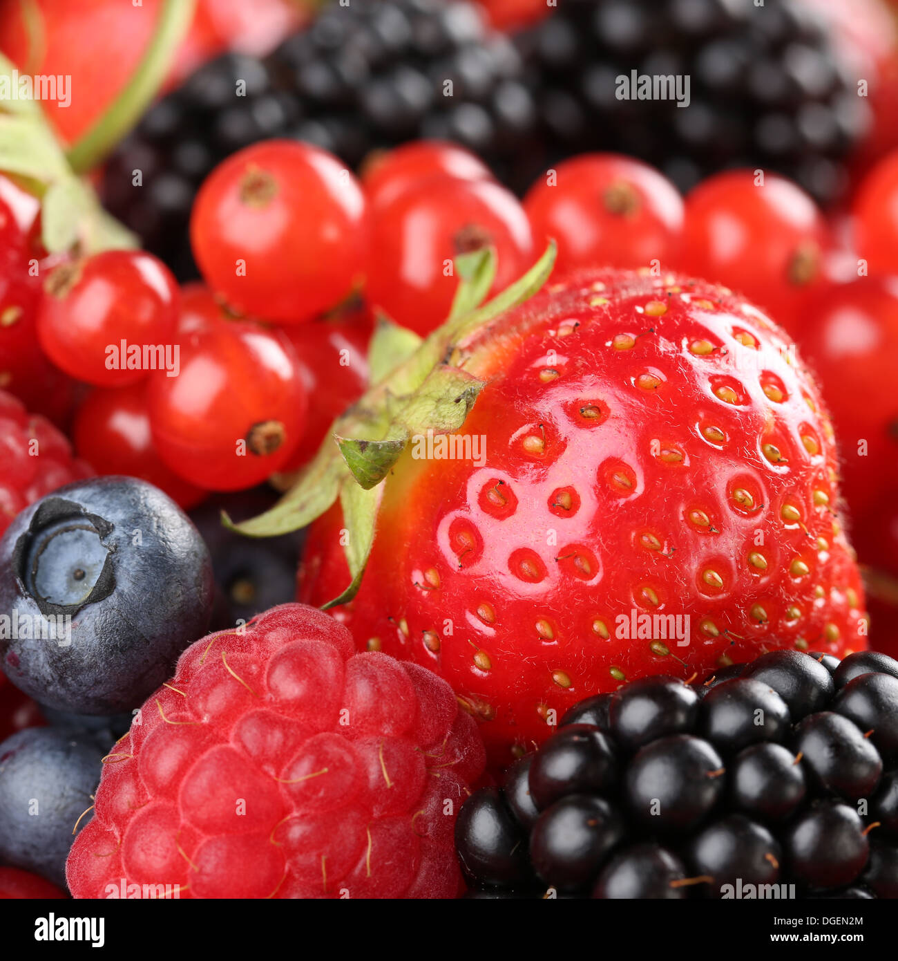 Collection of strawberries hi-res stock photography and images - Alamy