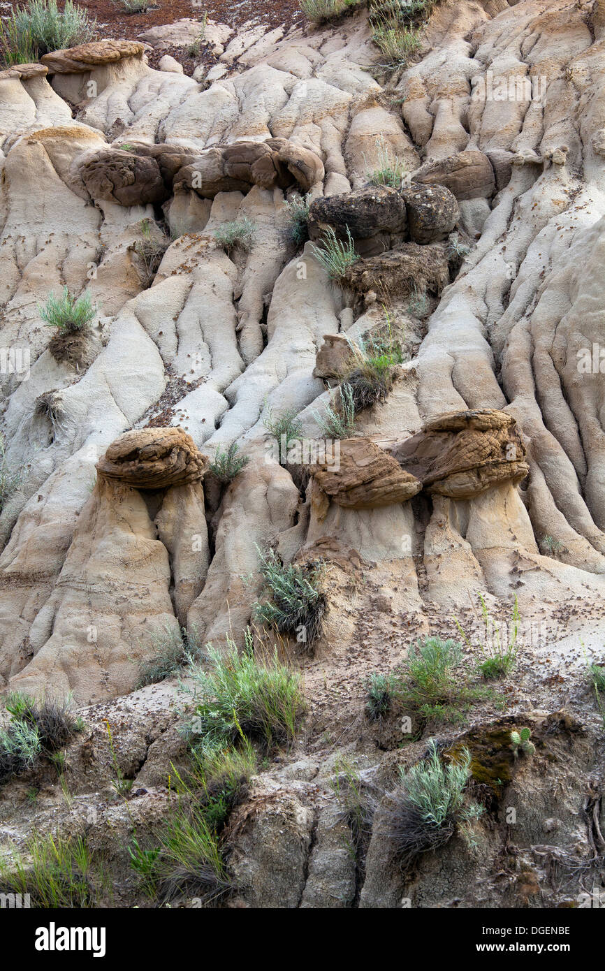 Erosion patterns on a hillside Stock Photo - Alamy