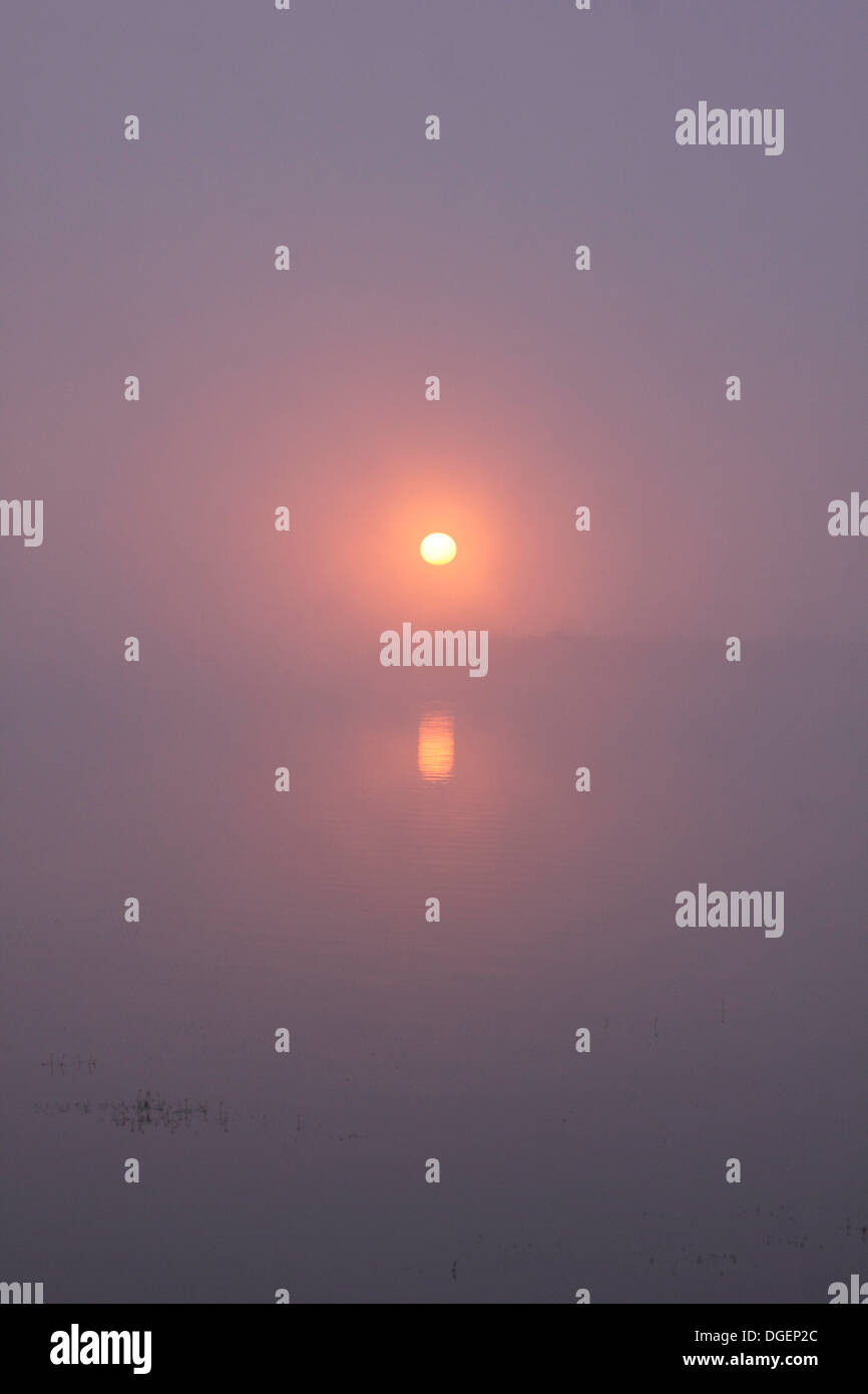 Sunrise through mist hi-res stock photography and images - Alamy