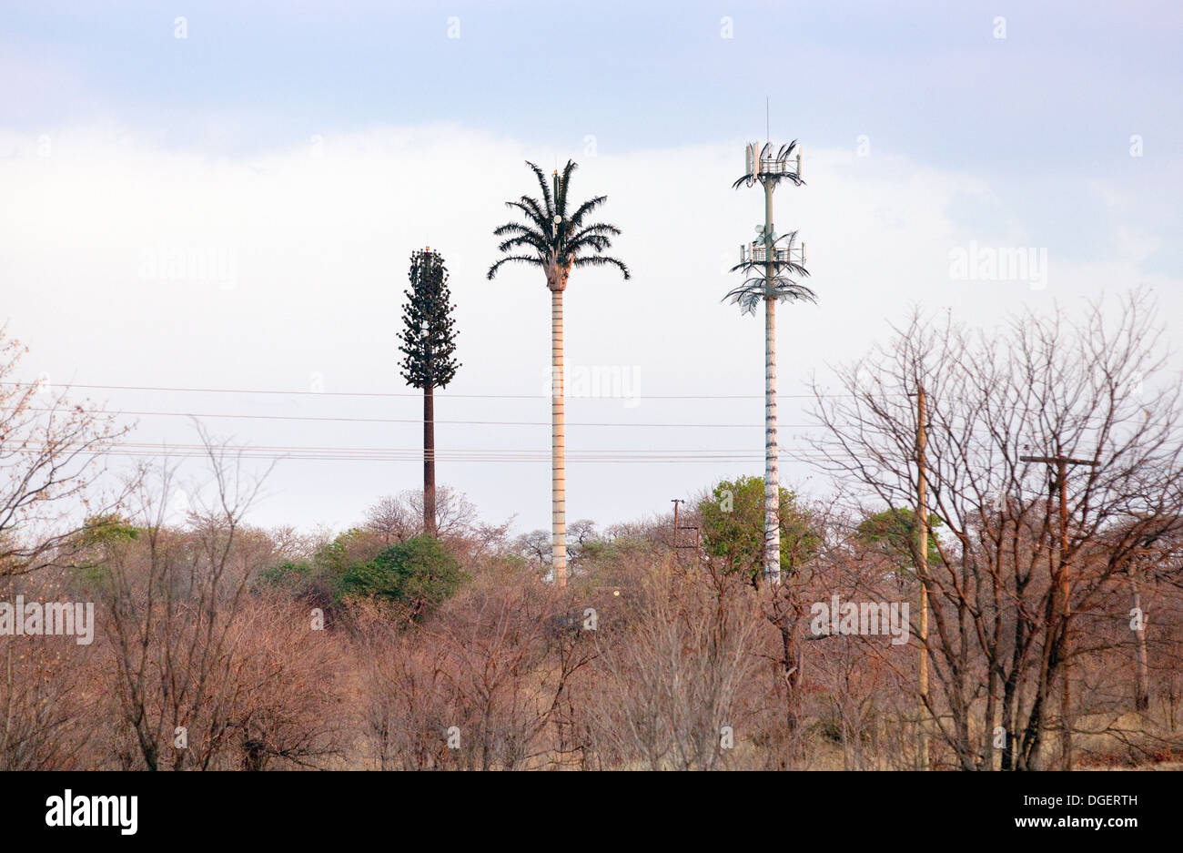 Three mobile phone masts disguised as trees in the Mosi oa Tunya ...