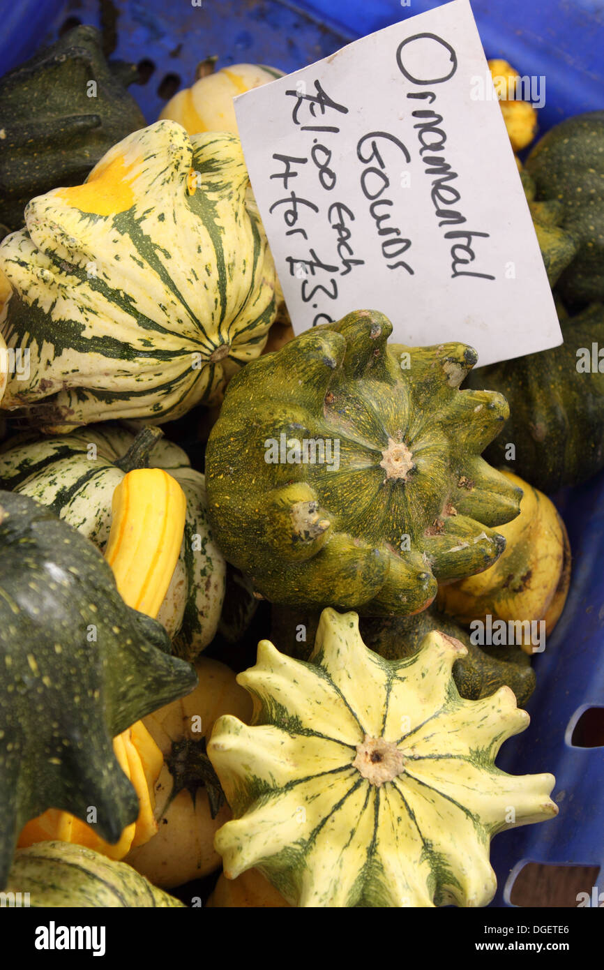 Gourds ornamental autumn gourds for sale at a market stall in October ...