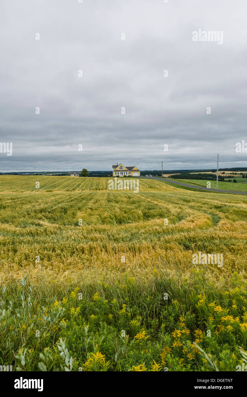 Farm crop field house hi-res stock photography and images - Alamy