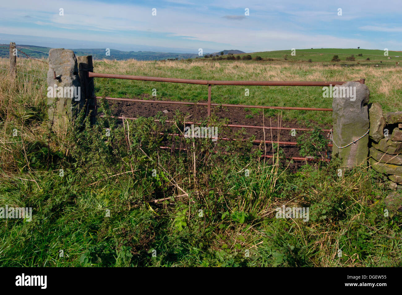 Old metal farm gate hi-res stock photography and images - Alamy