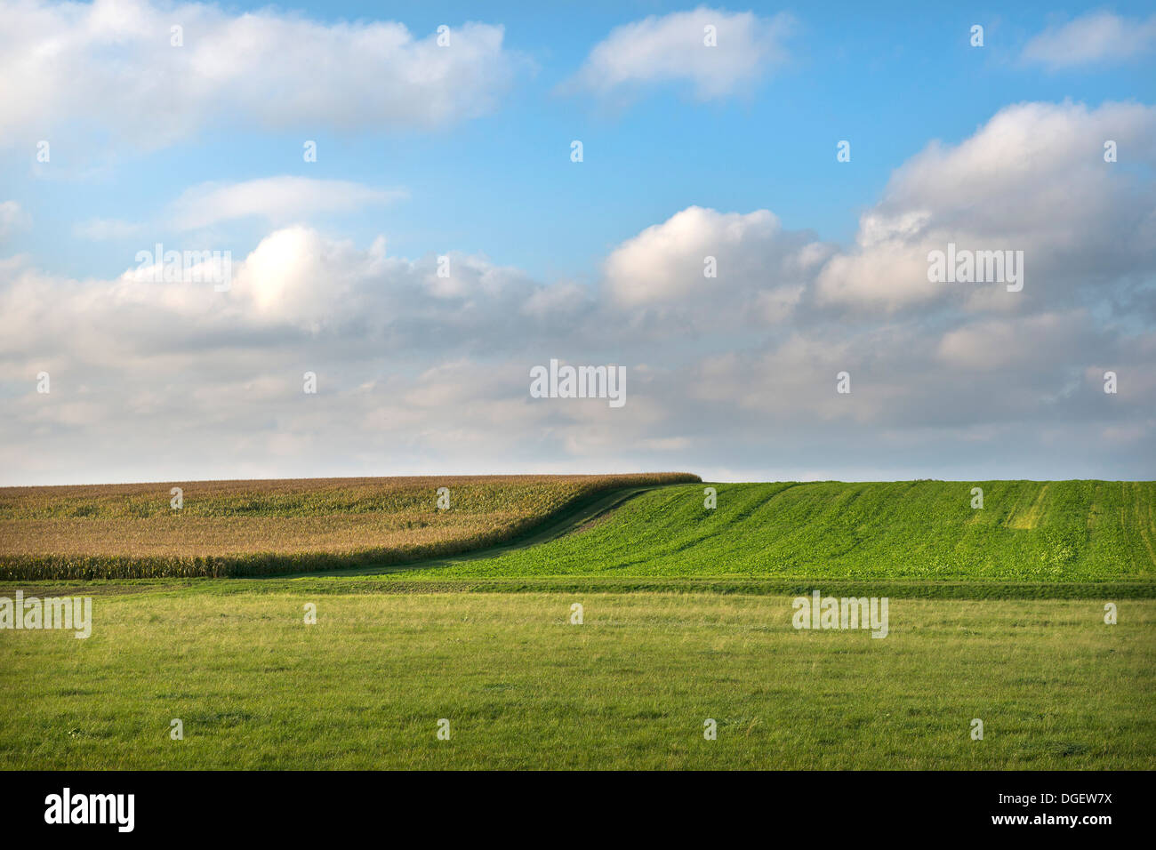 Germany, Bavaria, Surroundings Dachau, Field Stock Photo - Alamy