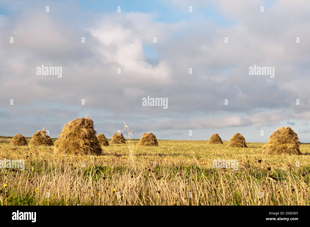 Old traditional hay stacks hi-res stock photography and images - Alamy