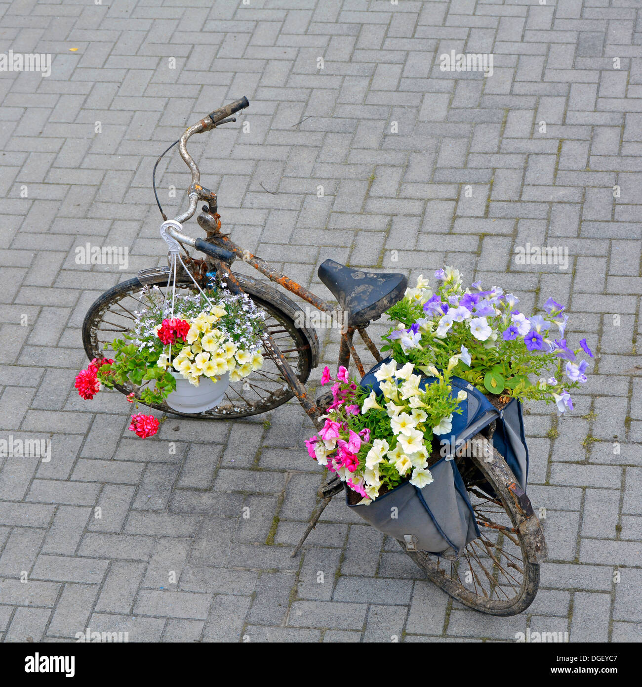 Cycle bike flower display hi-res stock photography and images - Alamy