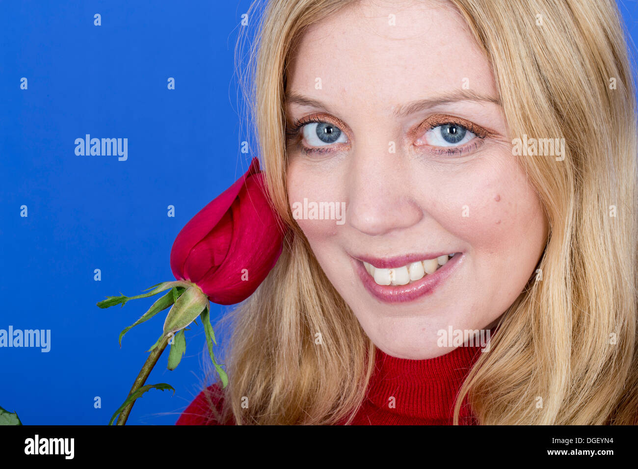 A single red rose hi-res stock photography and images - Alamy