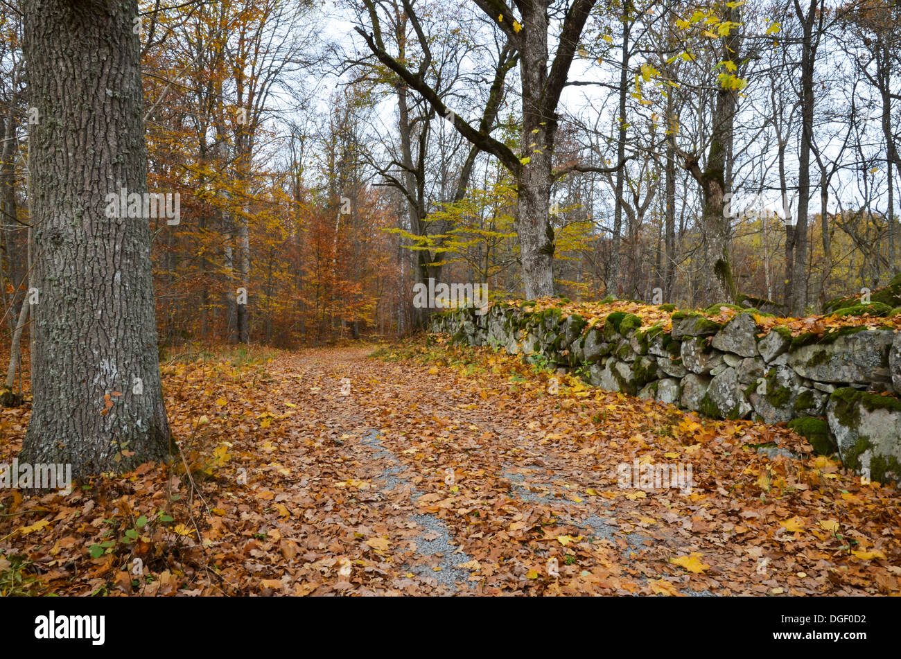 Old Country Road High Resolution Stock Photography and Images - Alamy