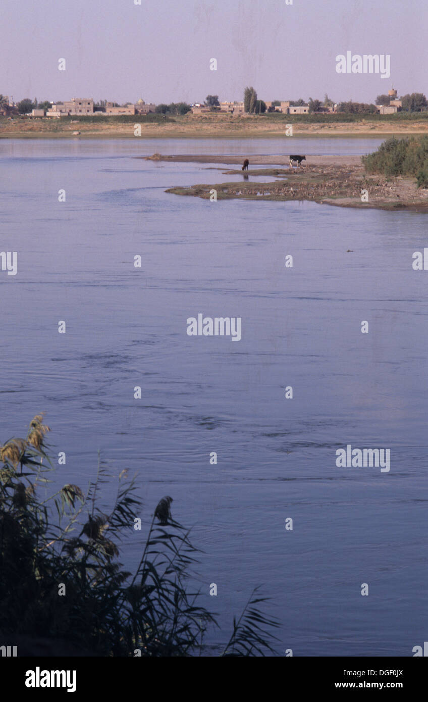 Mari syria hi-res stock photography and images - Alamy